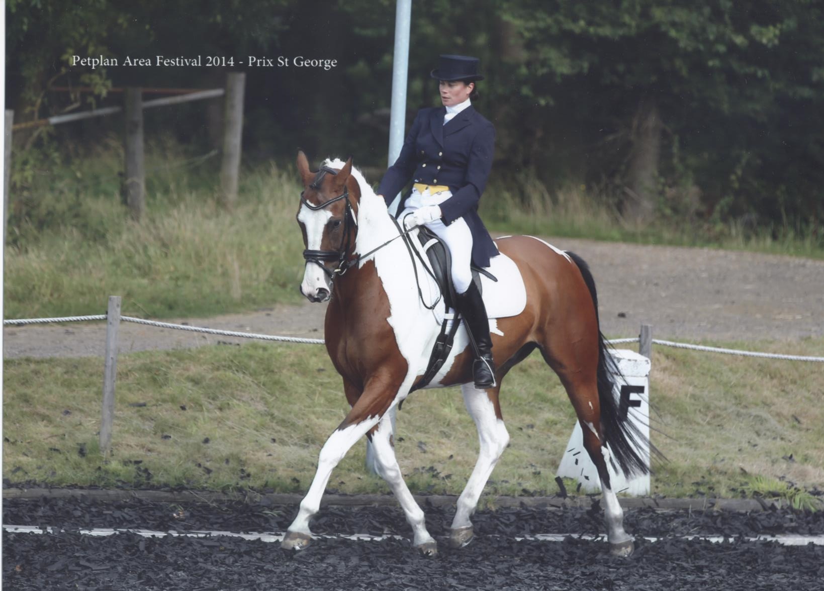 Meryl Doran | The Old Stables, Godden Green