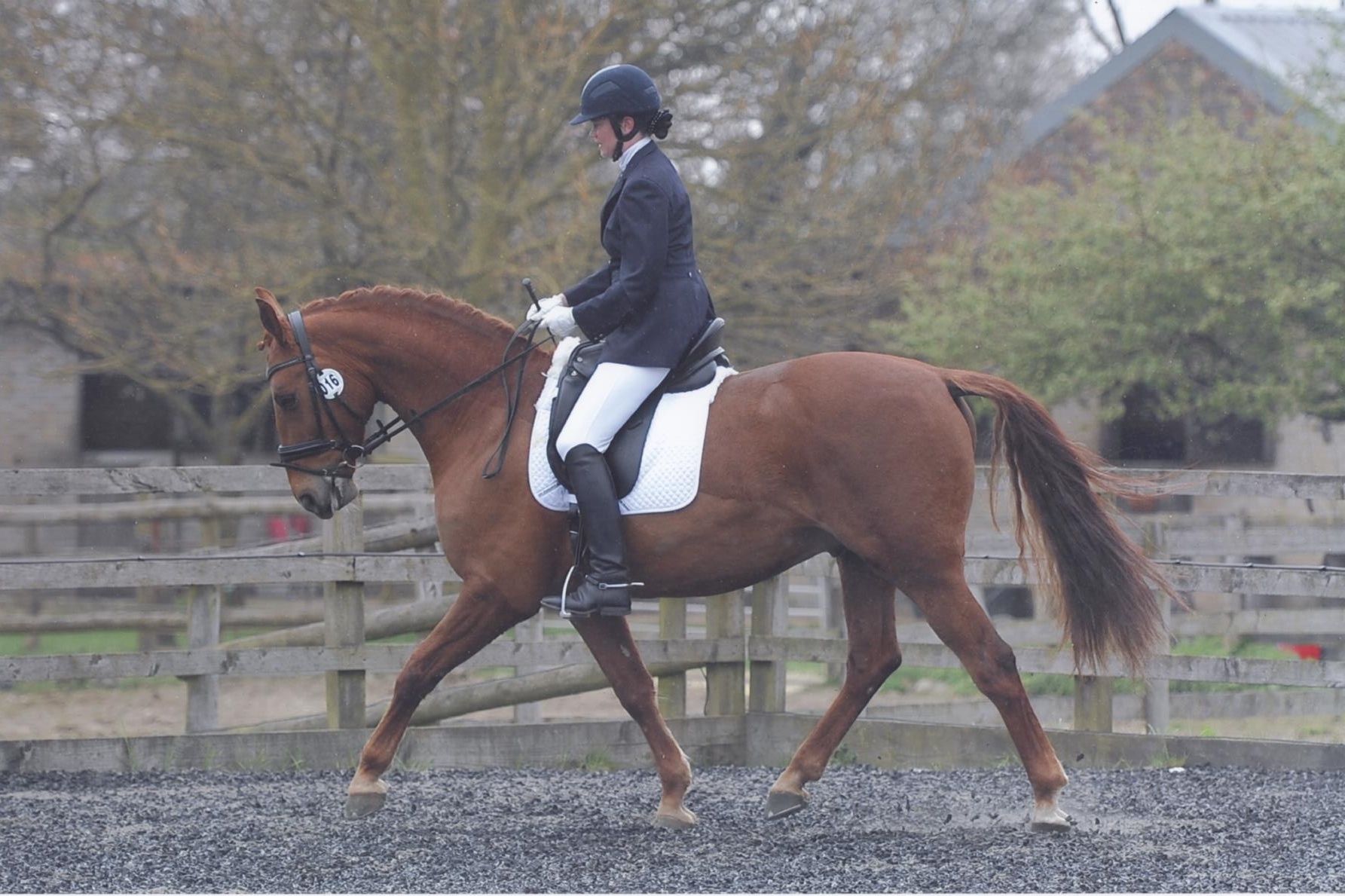 Training | Meryl Doran